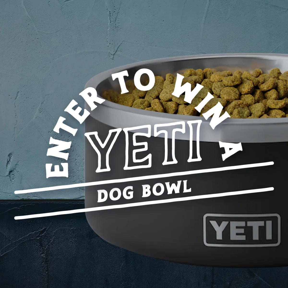Win A YETI Dog Bowl - TotallyFreeStuff